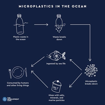 microplastic cycle – The Development Café